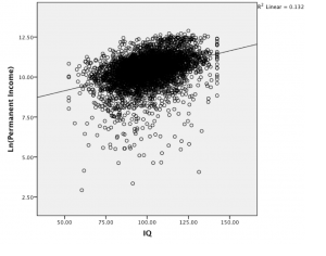 IQ and Permanent Income: Sizing Up the “IQ Paradox” – Human Varieties